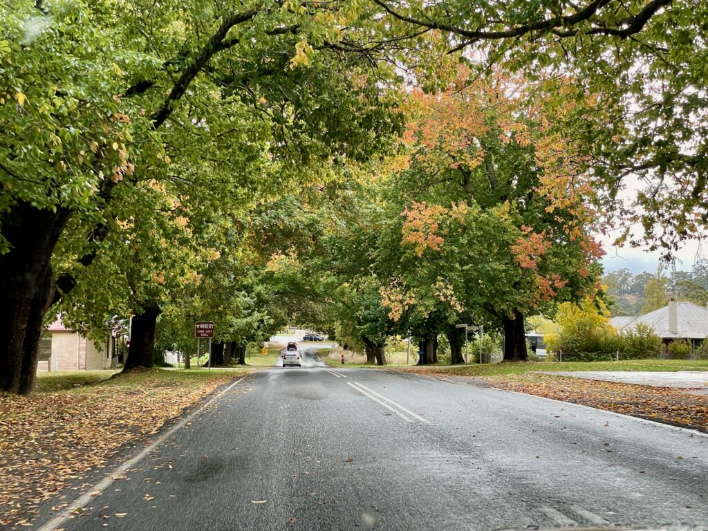 Macedon Ranges wine region guide | Far and Wine